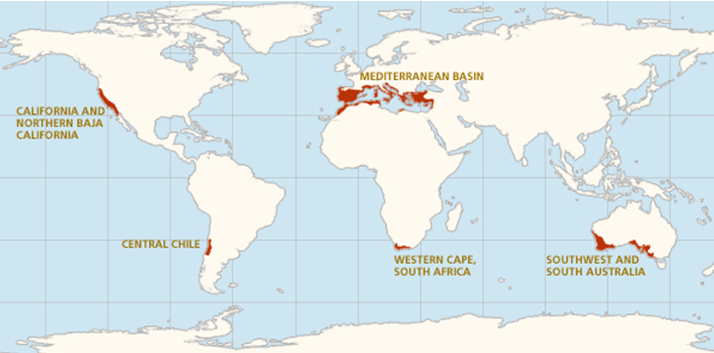 Mediterranean Shrublands (Chaparral Biome) - GKToday