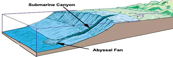 Ocean Relief : Key Features and Types of Ocean Relief – GKToday