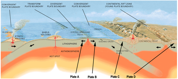 Basics Of Plate Tectonics And Seafloor Spreading Gktoday