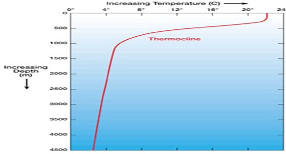 Vertical and Horizontal Distribution of Ocean Temperature – GKToday