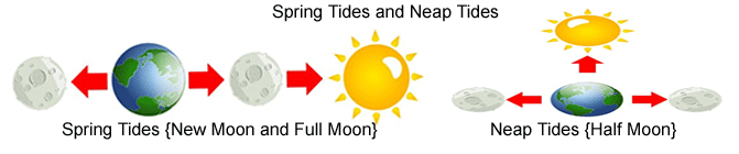 Tides: Meaning, Types, Duration, Frequency and Facts – GKToday