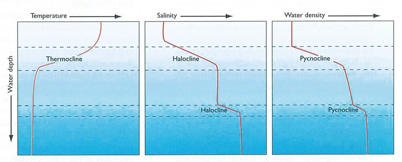 Trends in Salinity of Ocean Water – GKToday