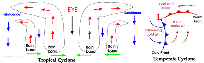 Give a comparative account of structure and associated weather ...