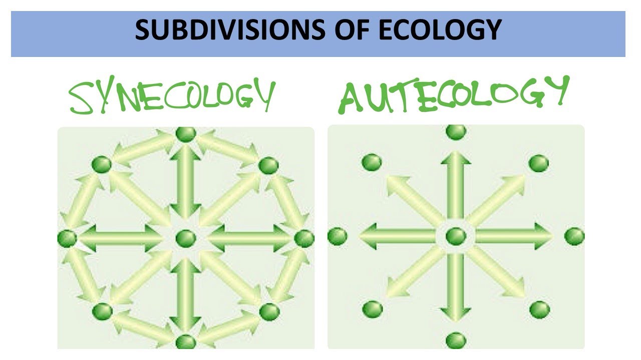 Autecology and Synecology – GKToday