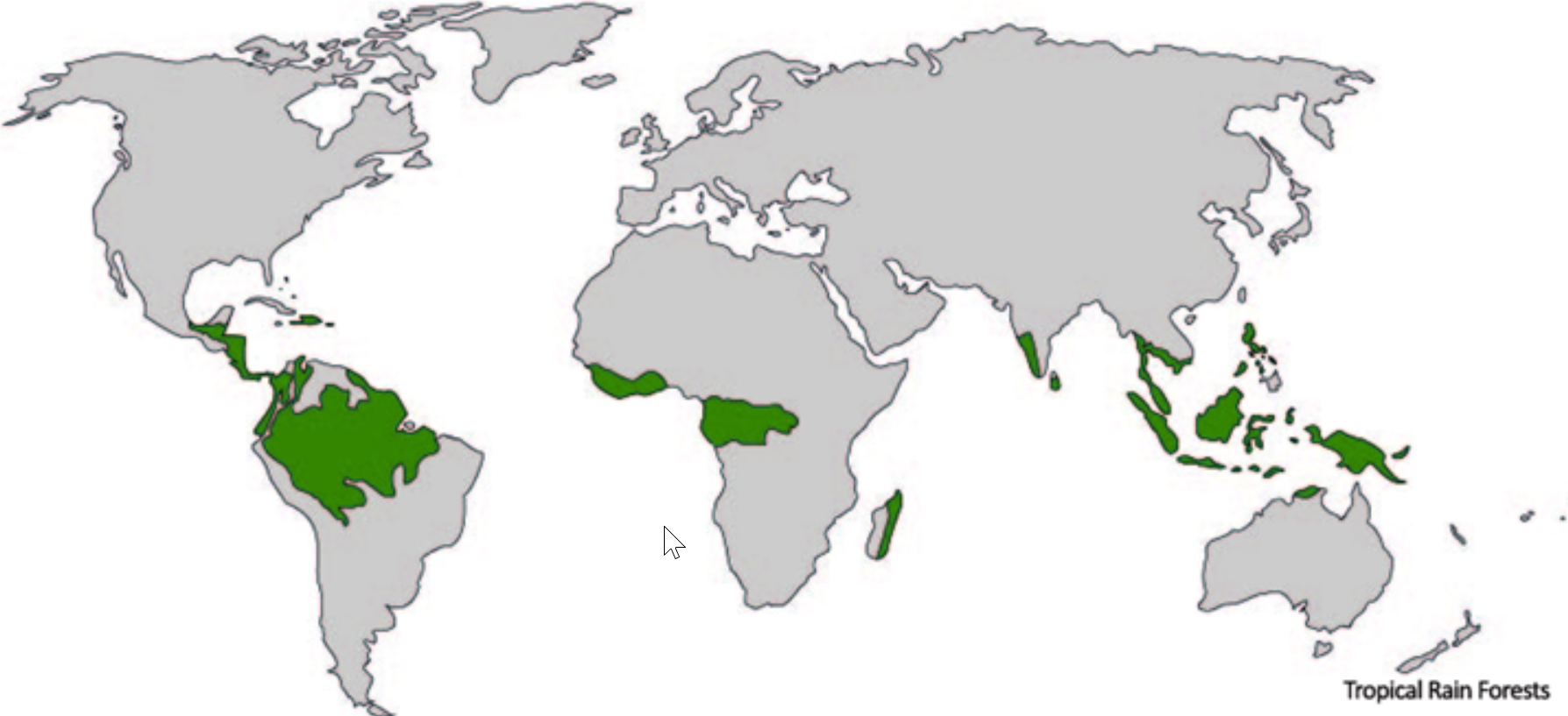 Tropical Rainforests: Extent, Type, Soil, Ecosystem and Biodiversity ...
