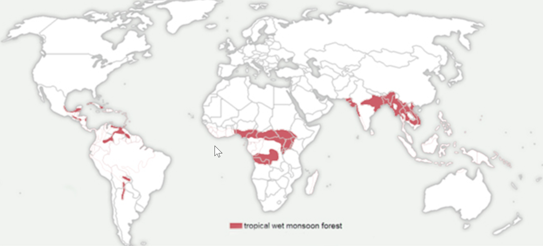 Tropical Monsoon Forests – GKToday