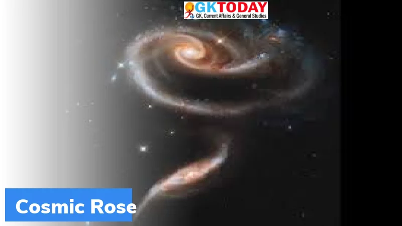 Rose Hubble Space Telescope