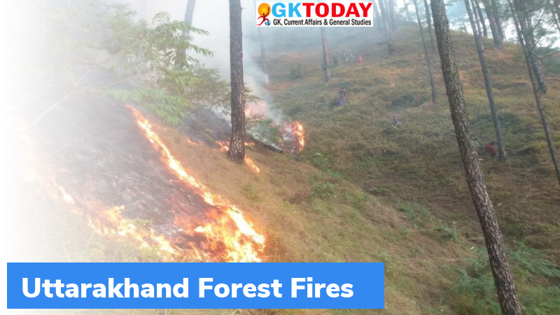 What is Forest fire Season? - GKToday