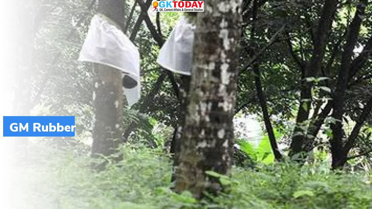 World’s first GM Rubber planted in Assam - GKToday