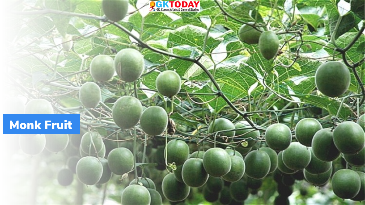 India’s first monk fruit cultivation begins in Kullu, H.P - GKToday