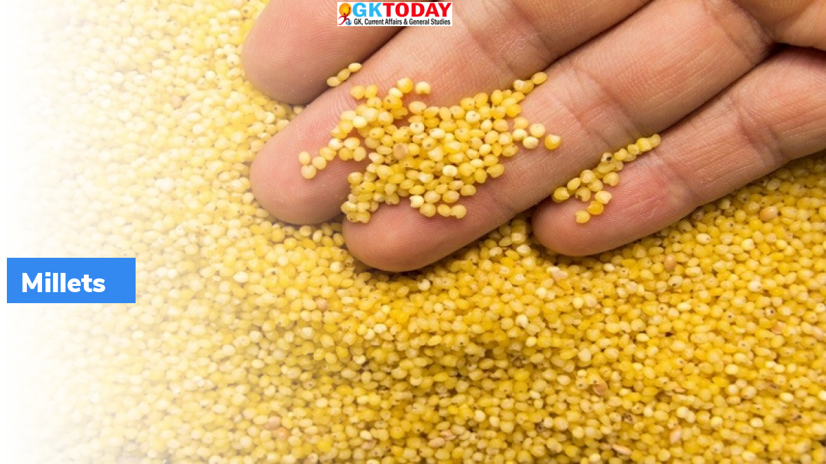 NITI Aayog’s “Promoting Millets in Diets: Best Practices across States ...