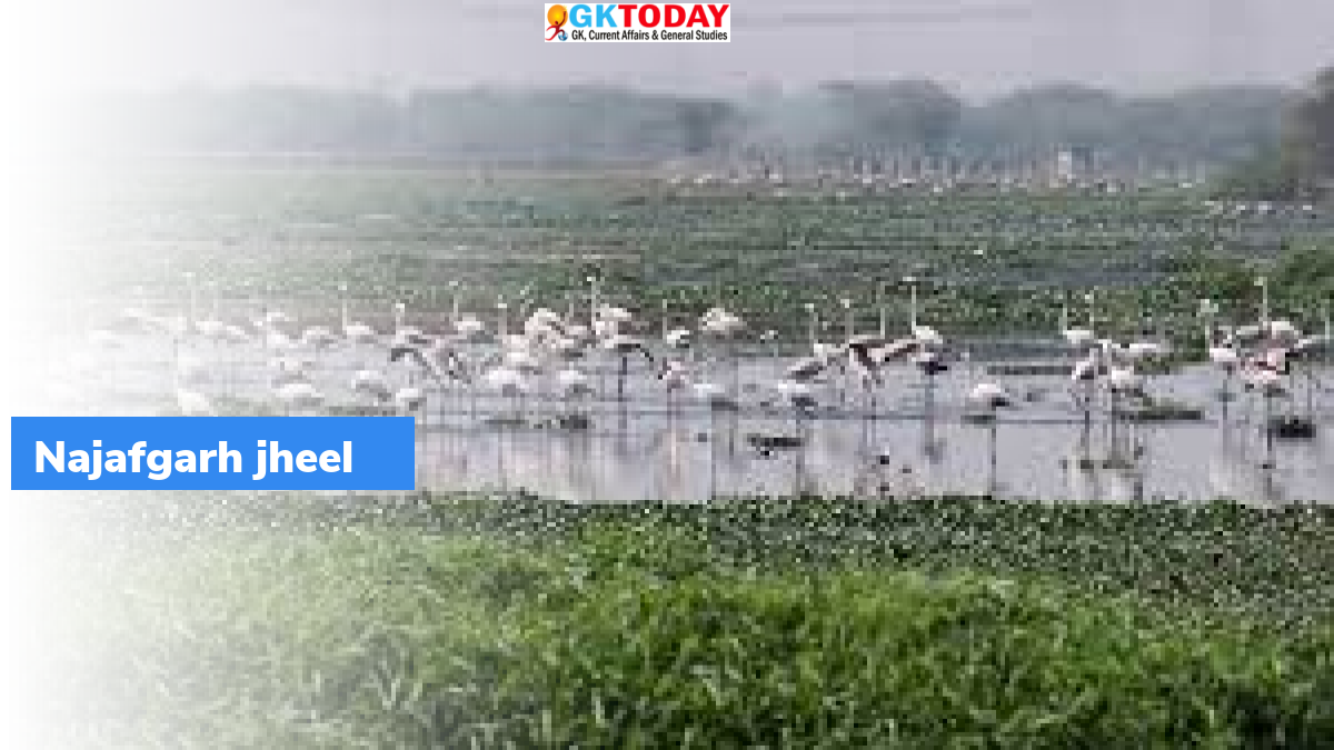 Najafgarh jheel restoration plan – GKToday