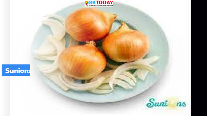 Tearless Onions in UK – GKToday