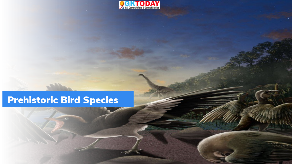 China: Two Prehistoric Bird Species - GKToday