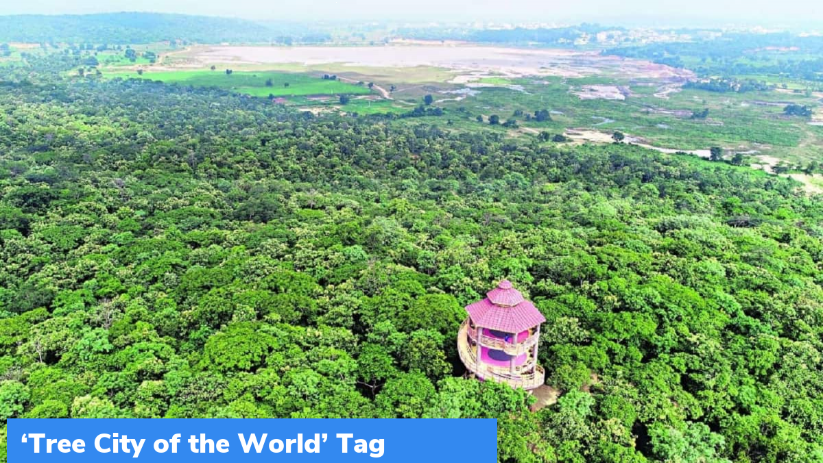‘Tree City of the World’ Tag – GKToday