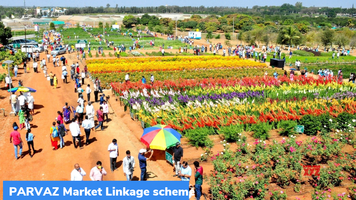 PARVAZ Market Linkage scheme- Key Facts - GKToday