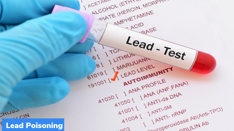 NITI Aayog-CSIR Report on Lead Poisoning in India - GKToday