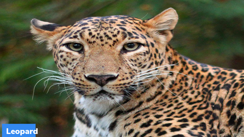 India – Chad Relations – GKToday