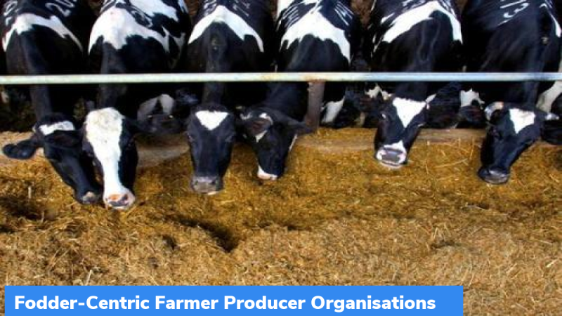 Fodder-Centric Farmer Producer Organisations – GKToday