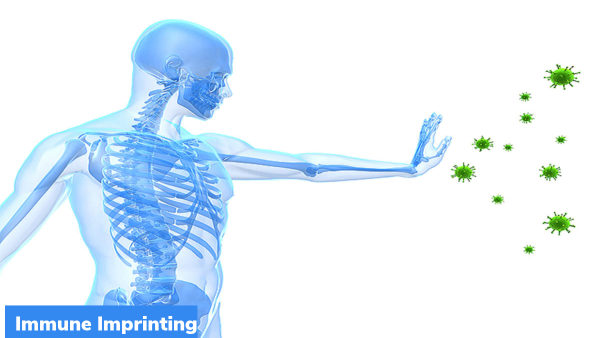 What is Immune Imprinting? – GKToday