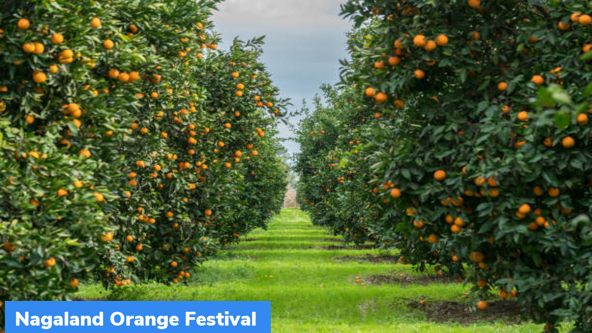 Nagaland Orange Festival - GKToday