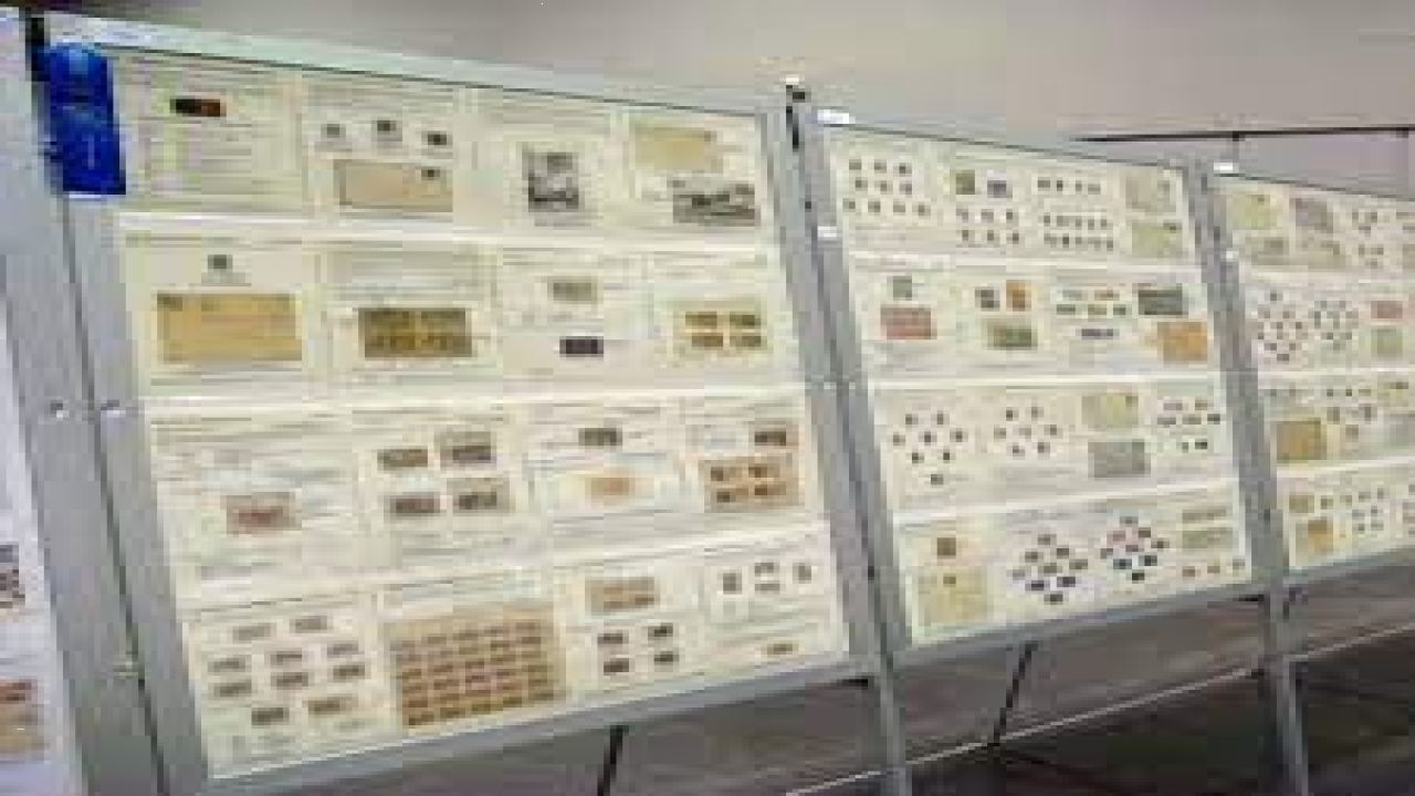 National Philatelic Exhibition – AMRITPEX 2023 - GKToday