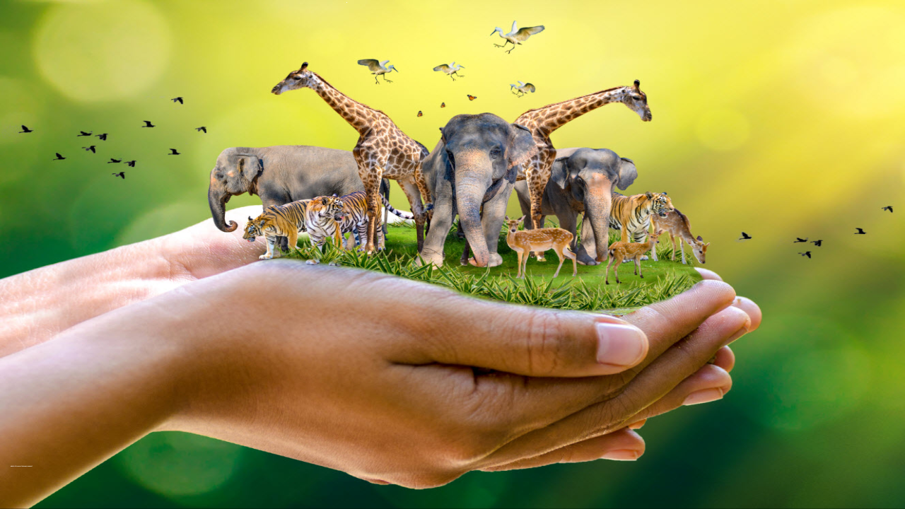 National Campaign for Updating and Verifying the People’s Biodiversity ...