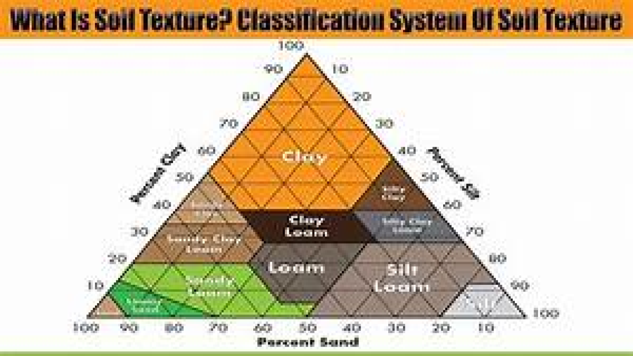 Classification and Distribution of Soils - GKToday