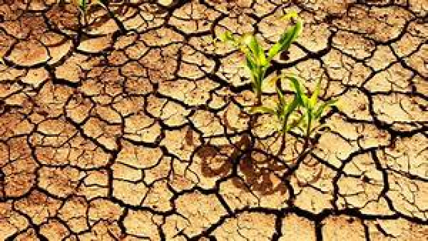 Command Area Development and Watershed Management - GKToday Command Area Development and Watershed Management - GKToday