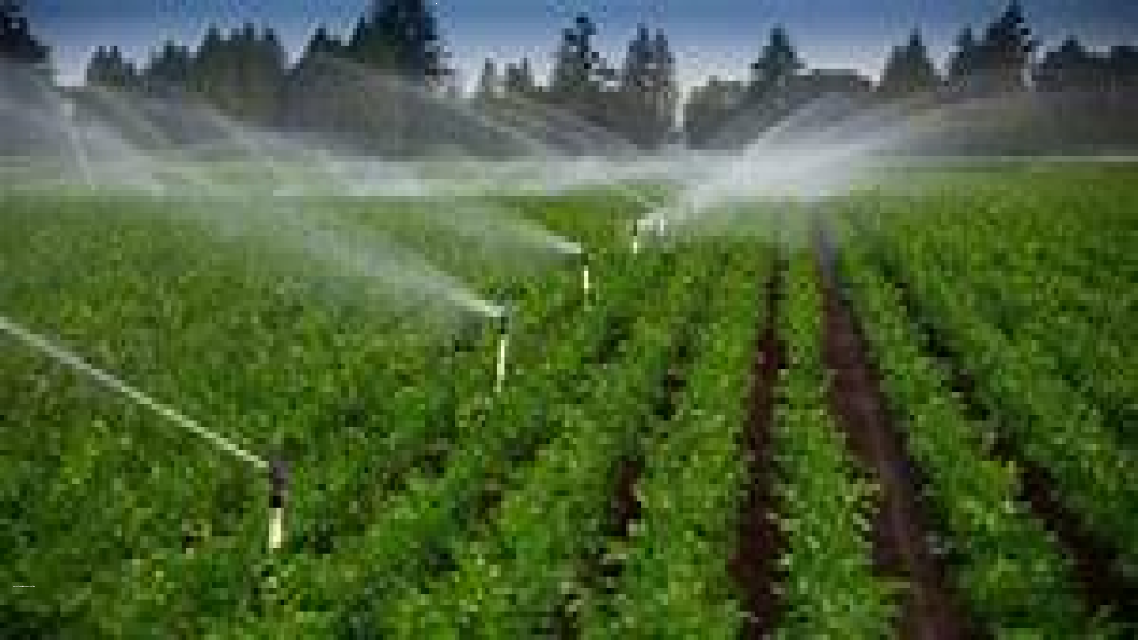 Forest And Wildlife Conservation Gktoday