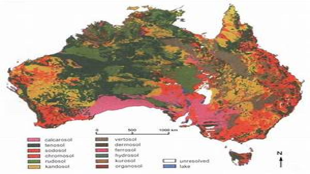 Soil Types and Their Distribution - GKToday