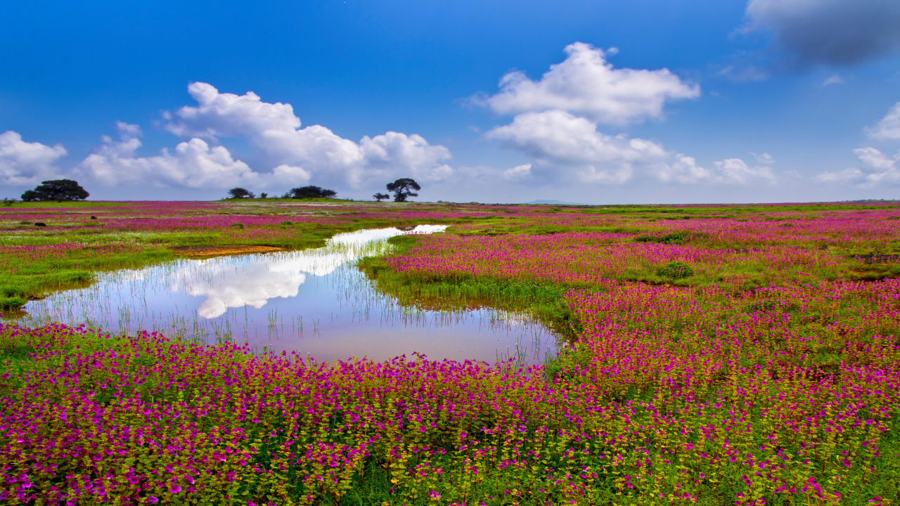 Kaas Plateau - GKToday