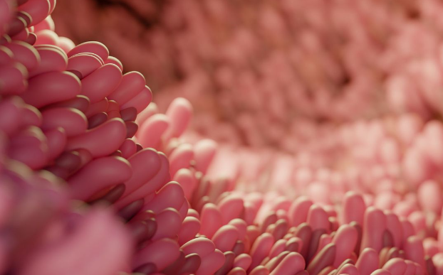 What are ‘Obelisks’, the New Virus-like Life-forms? – GKToday