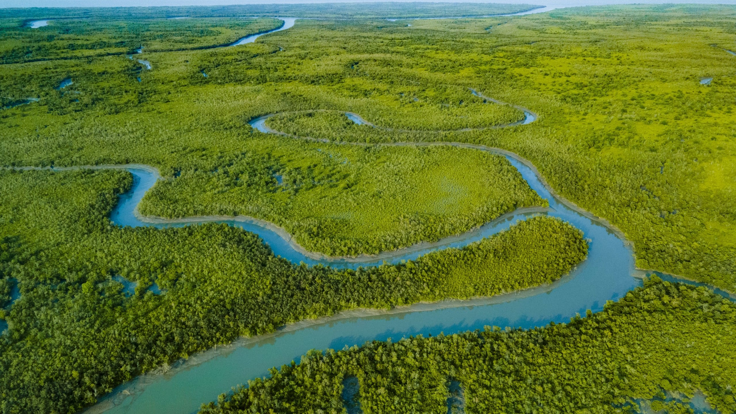 Resilience of the Sundarbans Mangrove Ecosystem – GKToday